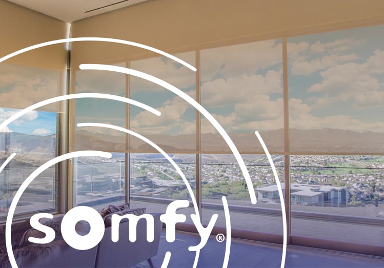 Automation & Motorization